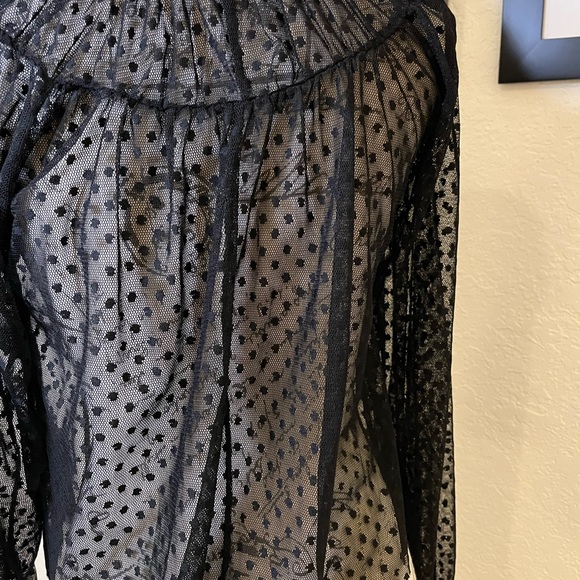 Zara | Tops | Zara Sheer Long Sleeve Black Blouse | Poshmark